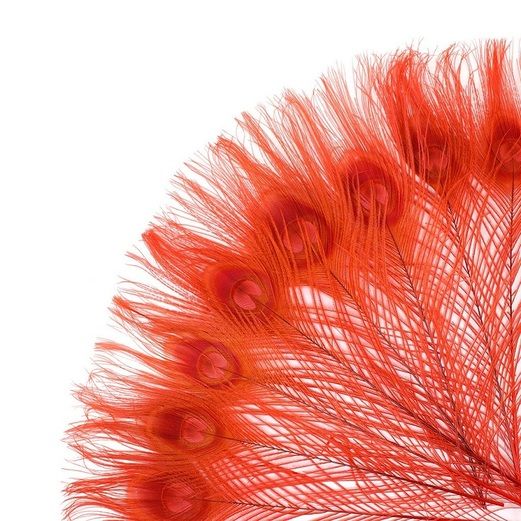 Small Red Peacock Feather | Fiesta Party Supplies