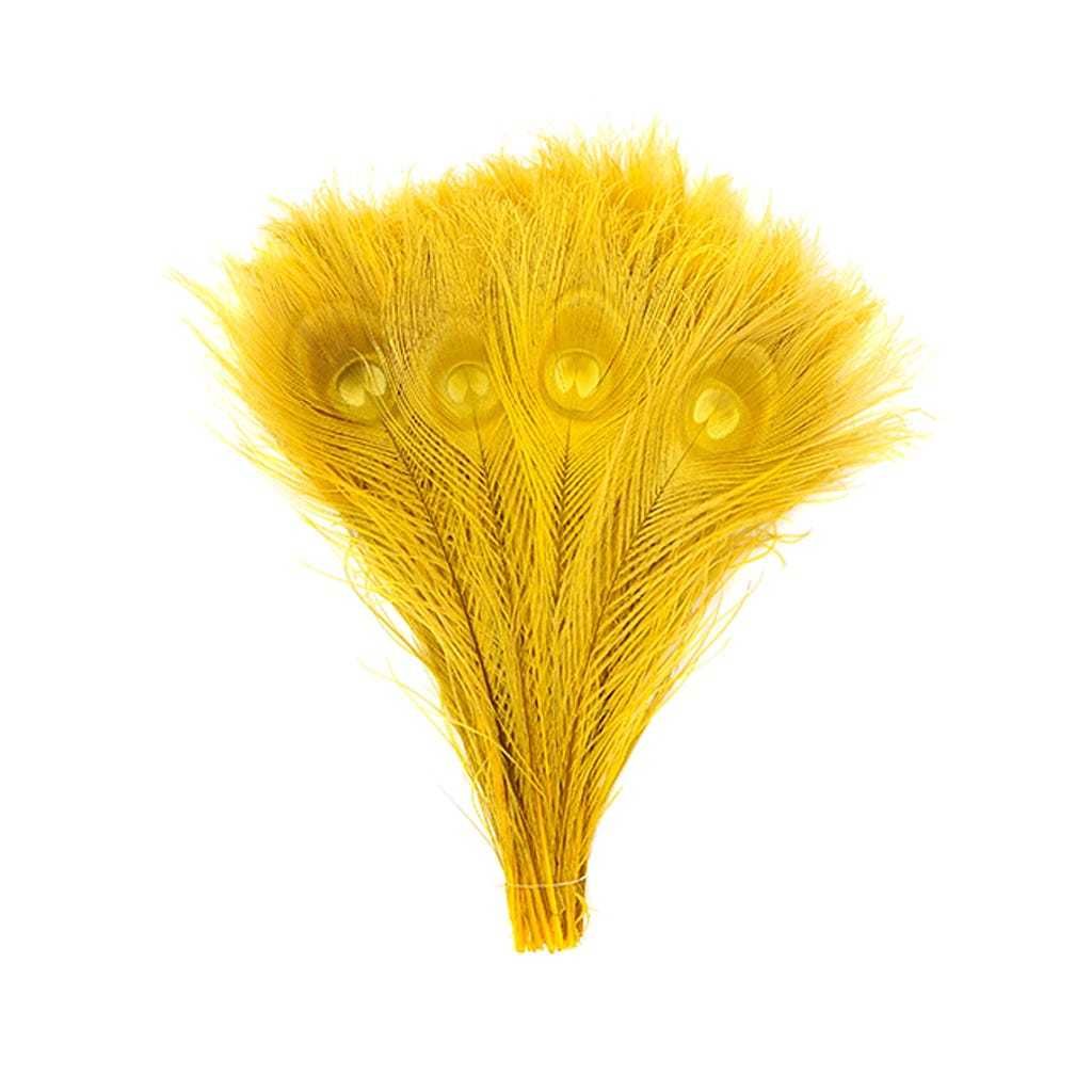 Yellow Peacock Feathers